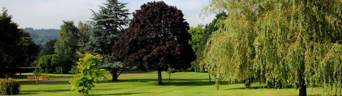 Our Campus | Sidcot School