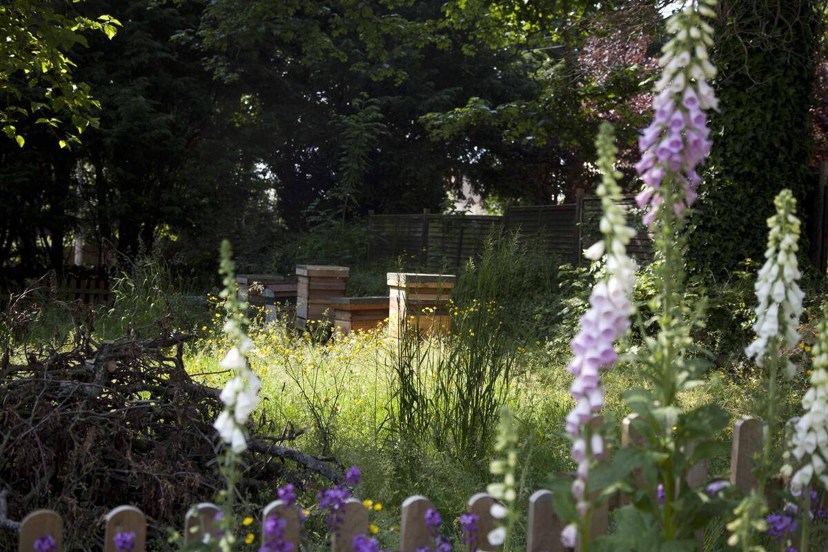 Getting To Know Alison Pike: Head of Careers and Higher Education