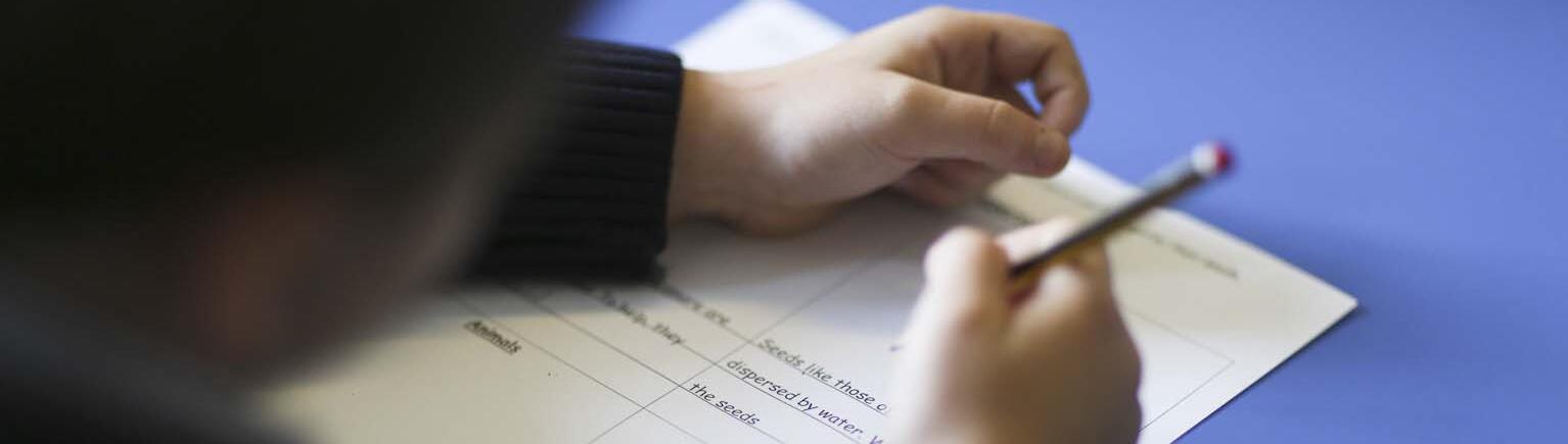 Learning Support | Admissions | Sidcot School