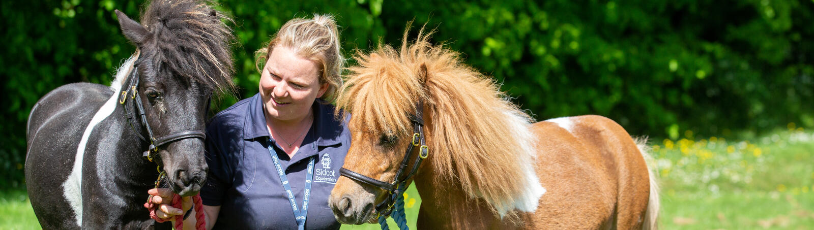 Equestrian Centre | Sidcot School