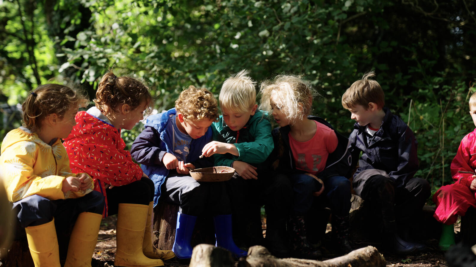 6 Great Benefits Of Forest School | Sidcot School