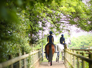 Horse Riding at Sidcot | Our Equestrian Centre | Sidcot School
