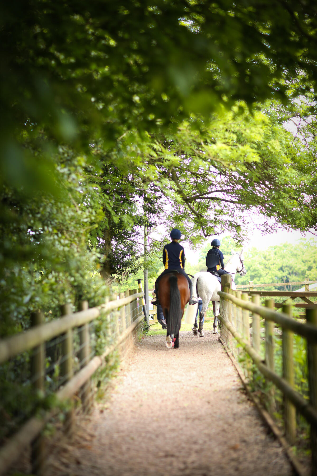 Horse Riding at Sidcot | Our Equestrian Centre | Sidcot School