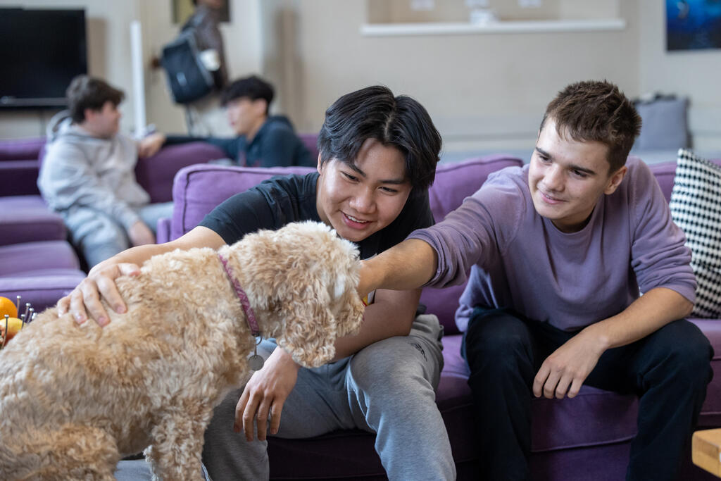 Preparing Your Child To Study Overseas | Sidcot School